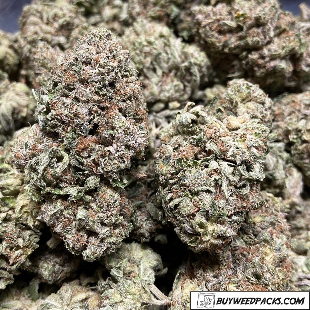 Hindu Kush - Online Dispensary Canada | Buyweedpacks