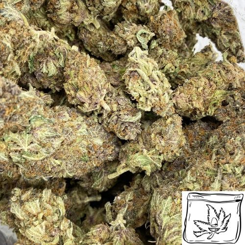 Dolato - #1 Source for Bulk Weed Packs | Buyweedpacks