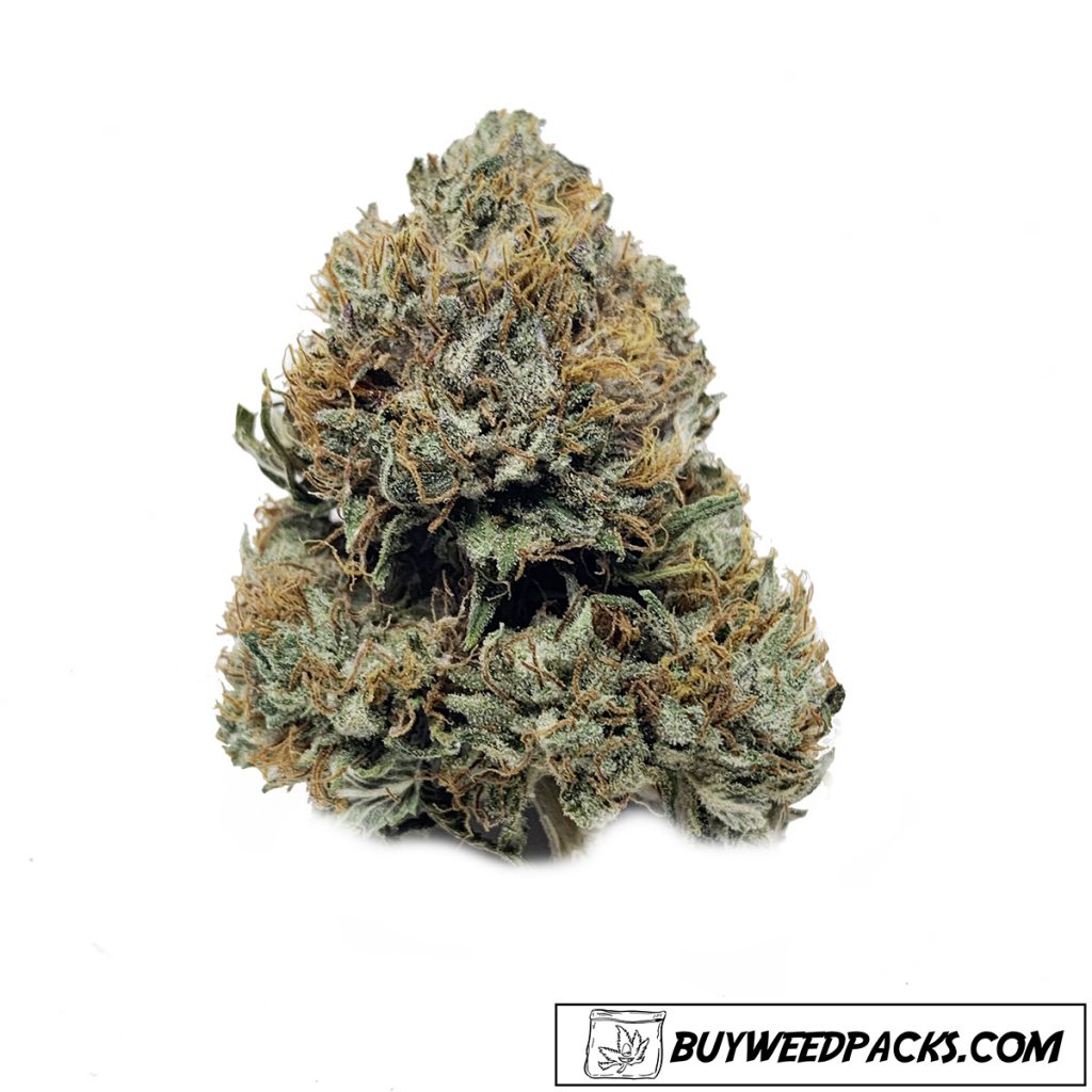 Budget Buds - Purple OG Kush - Buy Online Weeds | Buyweedpacks