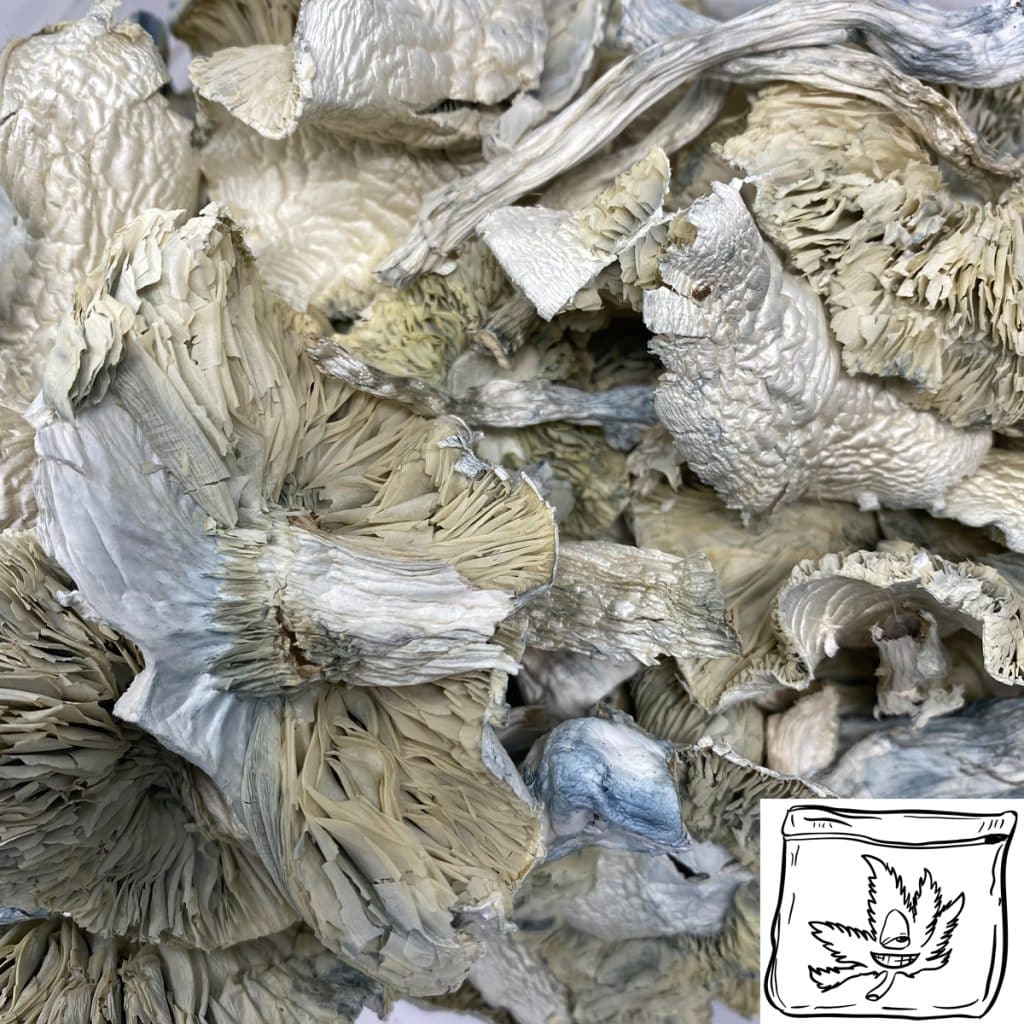 Weed Deals - #1 Source for Bulk Weed Packs | Buyweedpacks