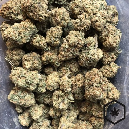 Alien OG - Online Dispensary Canada | Buyweedpacks