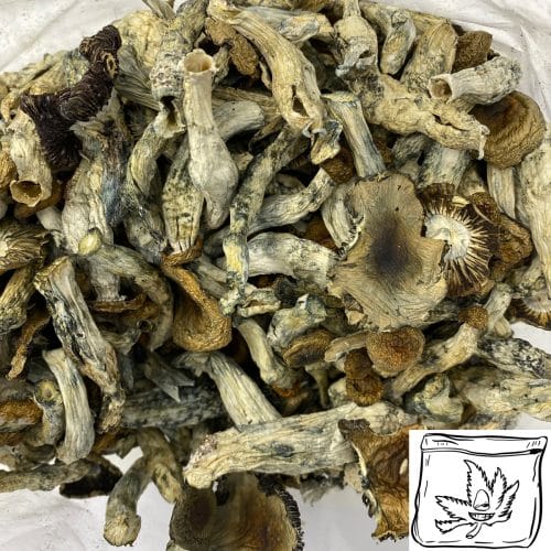 Weed Deals - #1 Source for Bulk Weed Packs | Buyweedpacks