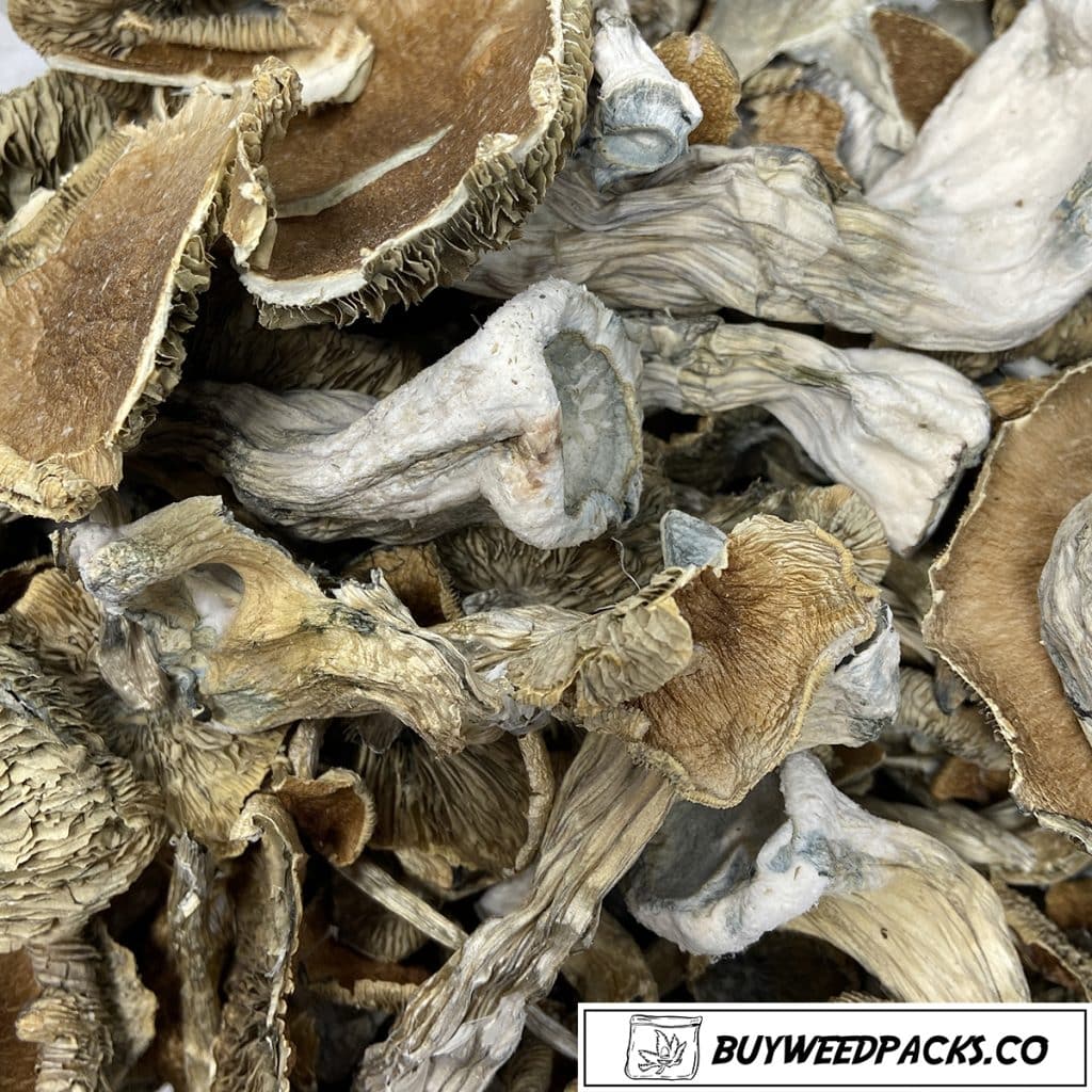 Buy Shrooms | Buy Weed Packs