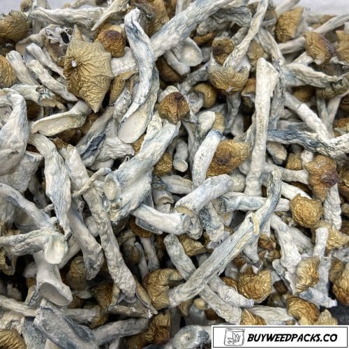 Weed Deals - #1 Source for Bulk Weed Packs | Buyweedpacks