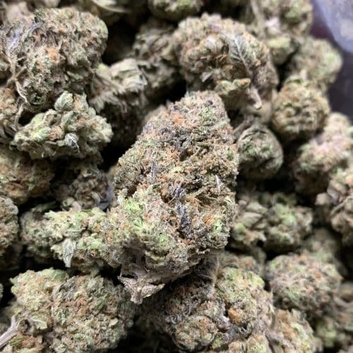 Purple Packs - #1 Source for Bulk Weed Packs | Buyweedpacks