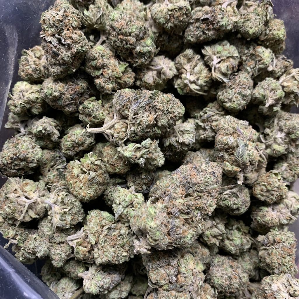 Mochi Gelato - Online Dispensary Canada | Buyweedpacks