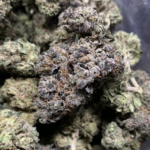 Purple Packs - #1 Source for Bulk Weed Packs | Buyweedpacks