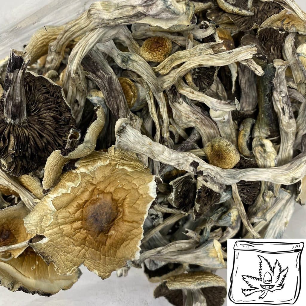 Buy Shrooms | Buy Weed Packs