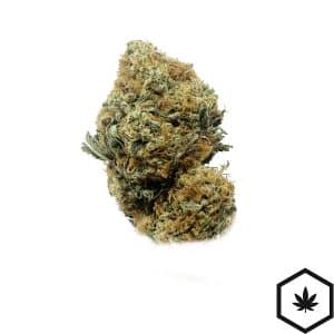 Blue Cookies - Online Dispensary Canada | Buyweedpacks