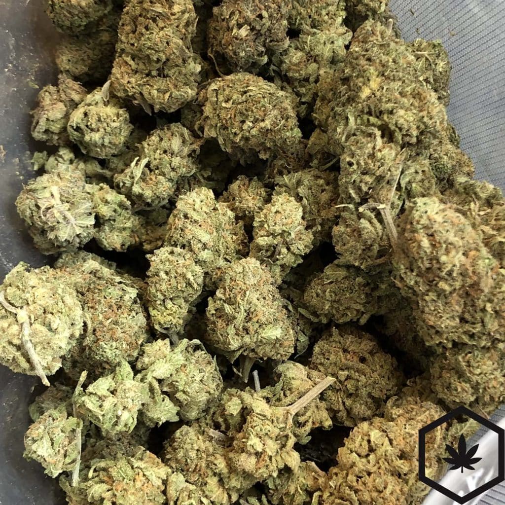 Blueberry Haze | Budget Buds | Buyweedpacks