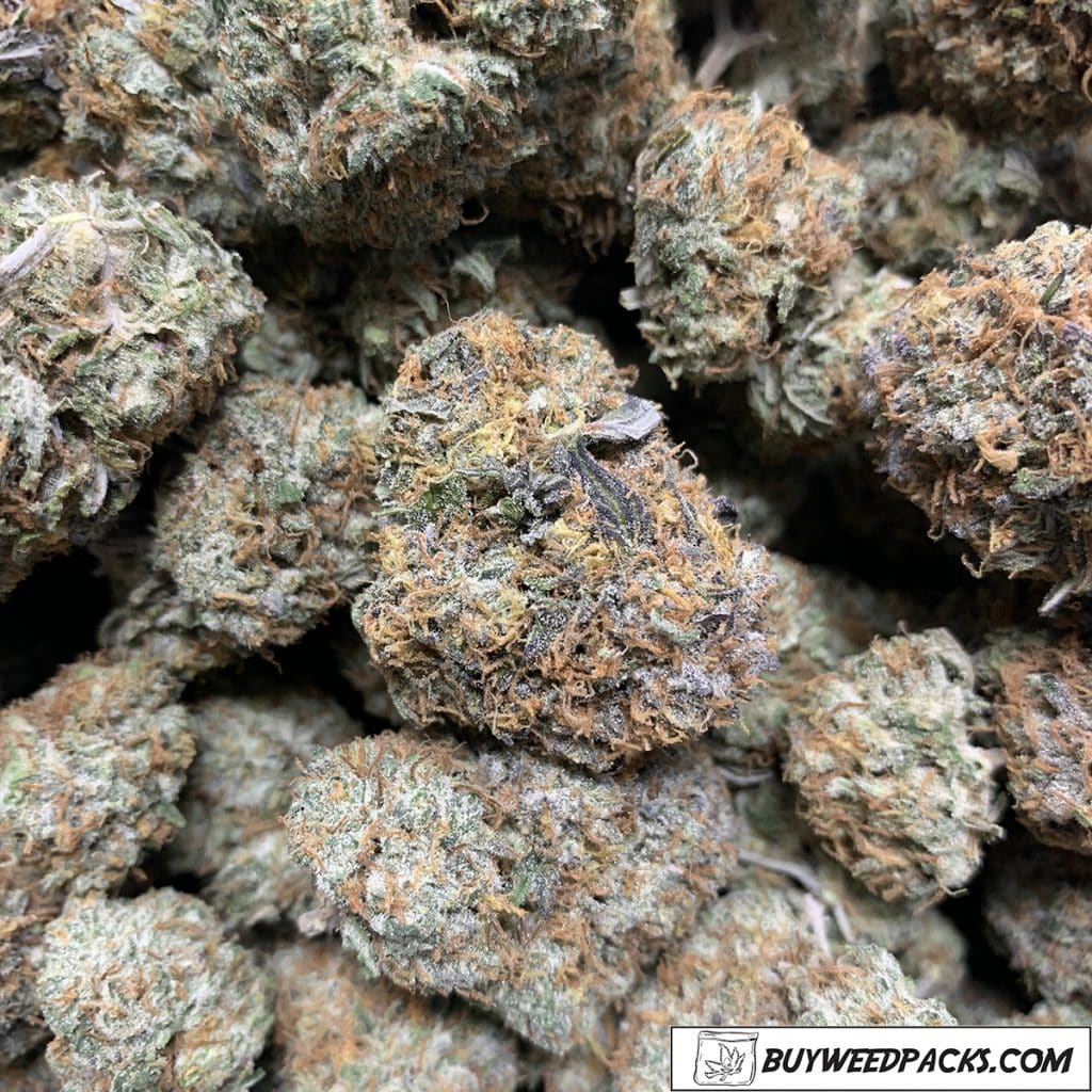 Budget Buds - Lemon Sour Diesel - Cheap Weed Canada | Buyweedpacks