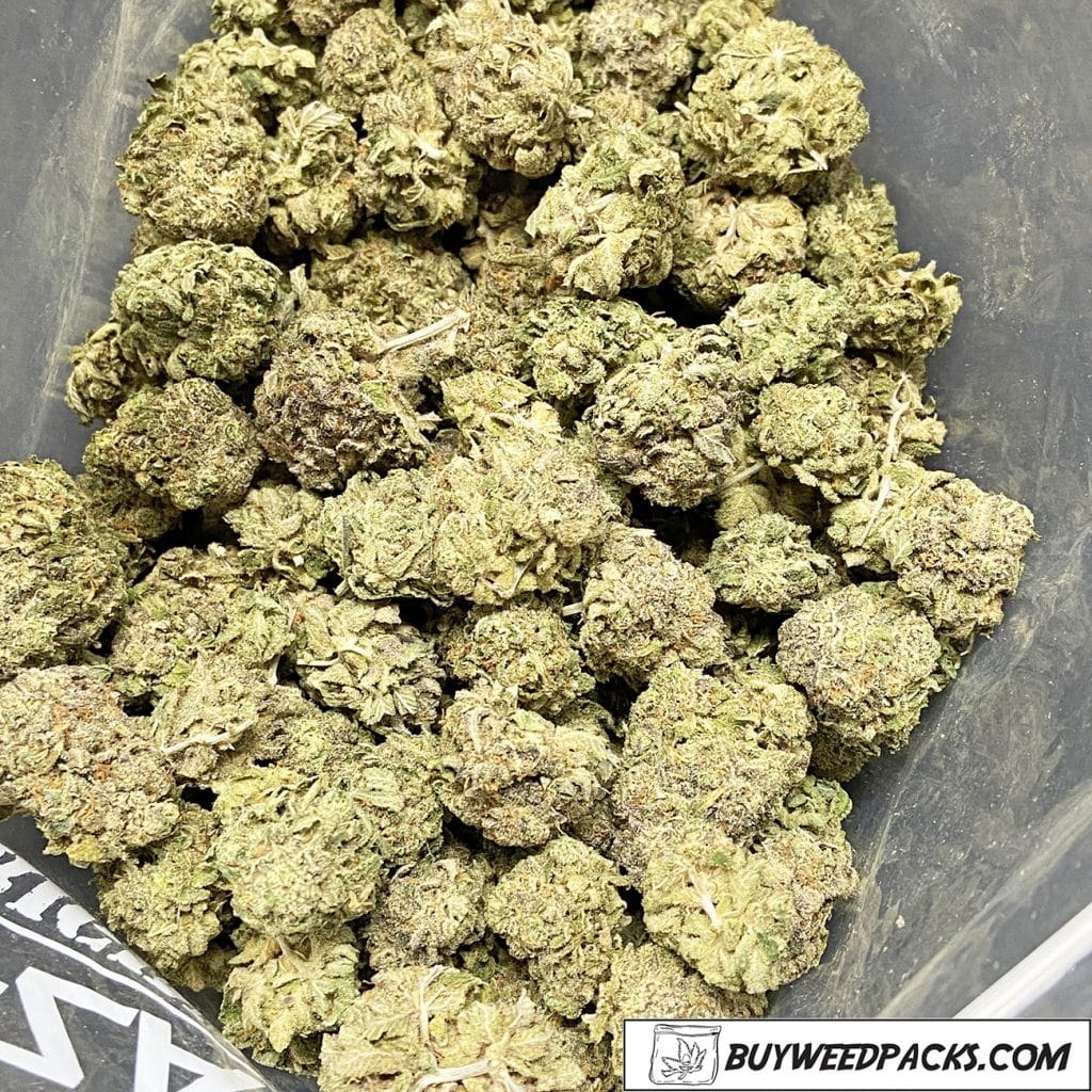 Greasy Rockstar - Online Dispensary Canada | Buyweedpacks