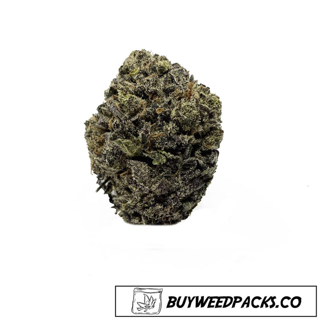 Purple Gas Mask - Online Dispensary Canada | Buyweedpacks