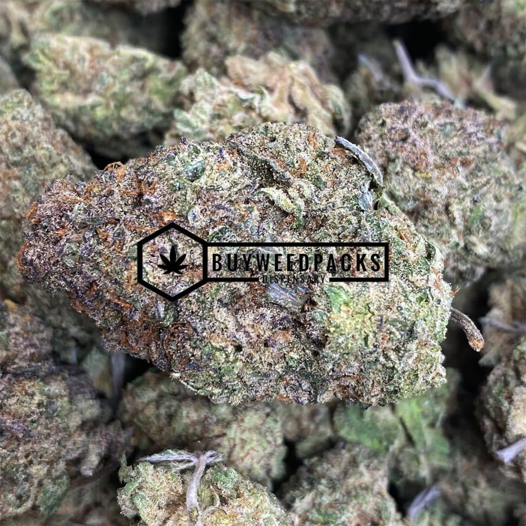 Online Dispensary Canada | Buyweedpacks | Buy Bulk Weed