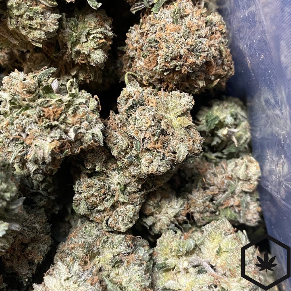 Greasy Rockstar - Online Dispensary Canada | Buyweedpacks