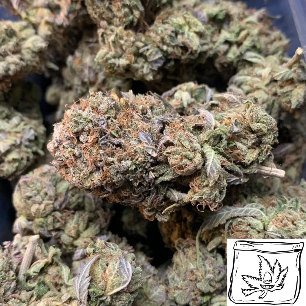 Fire OG - #1 Source for Bulk Weed Packs | Buyweedpacks