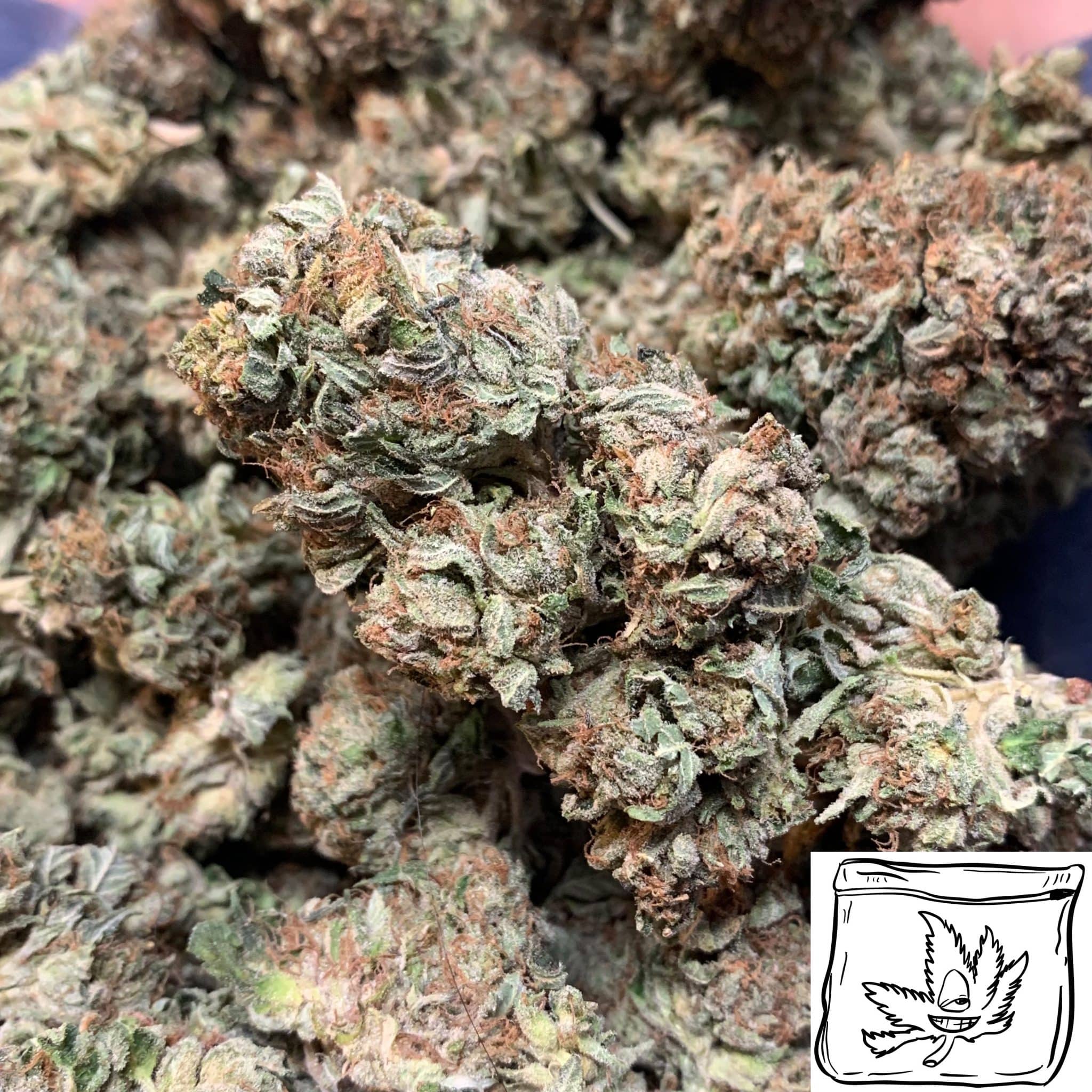 Rockstar - Online Dispensary Canada | Buyweedpacks