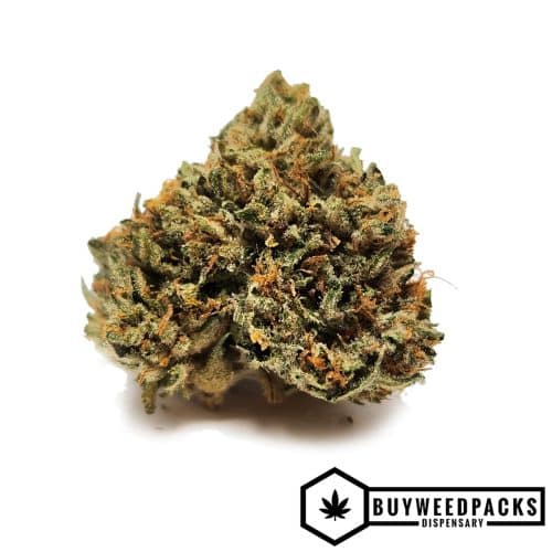 Grease Monkey - Disposable Vape Pen - Buy Weed Online | BWP