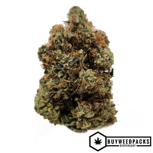 Grease Monkey - Disposable Vape Pen - Buy Weed Online | BWP