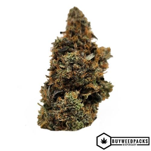 Grease Monkey - Disposable Vape Pen - Buy Weed Online | BWP