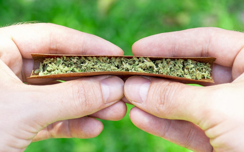 How To Roll a Blunt? - BWP