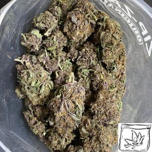 Grape God - #1 Source for Bulk Weed Packs | Buyweedpacks