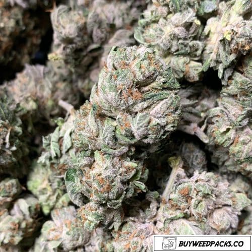 Purple Gas Mask - Online Dispensary Canada | Buyweedpacks