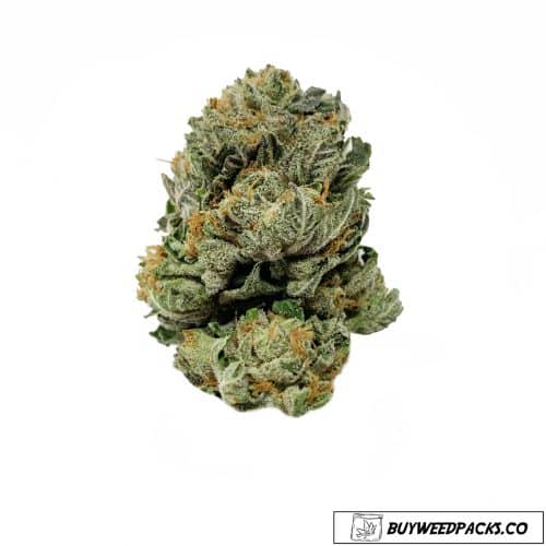 Purple Gas Mask - Online Dispensary Canada | Buyweedpacks