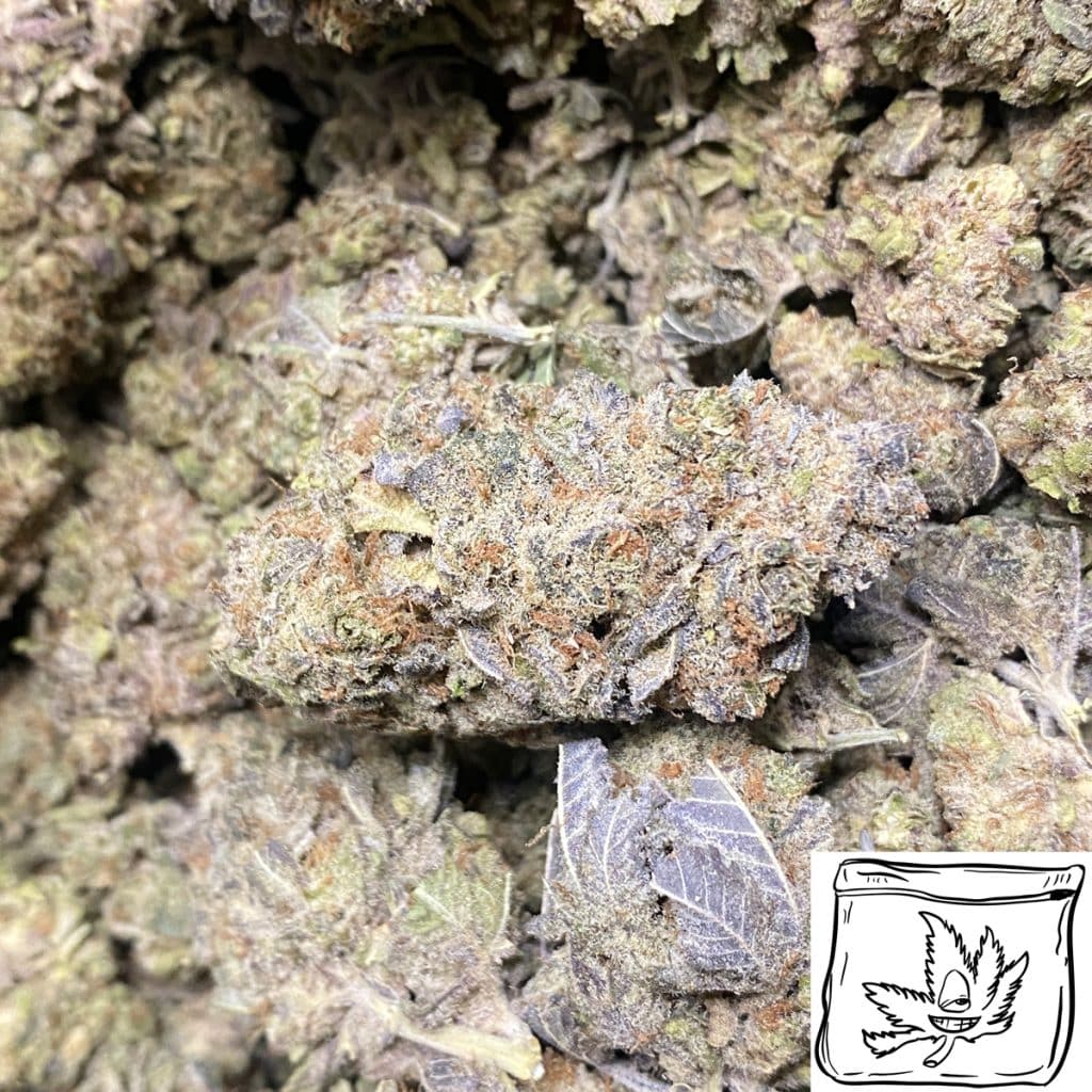 Rainbow Runtz - Online Dispensary Canada | Buyweedpacks