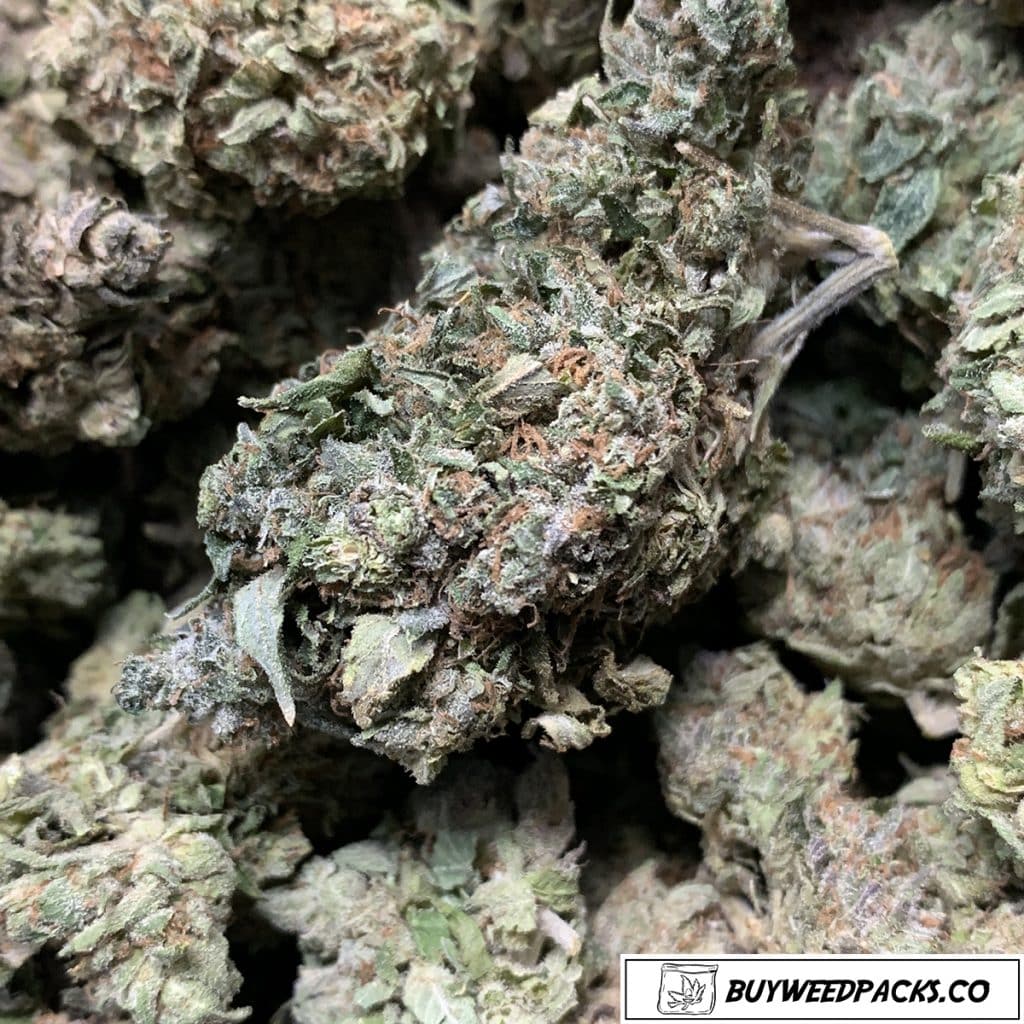 Three Blue Kings - Online Dispensary Canada | Buyweedpacks