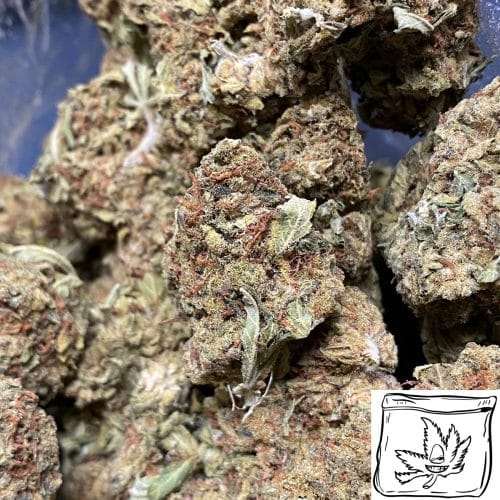 Gelato Runtz - Online Dispensary Canada | Buyweedpacks