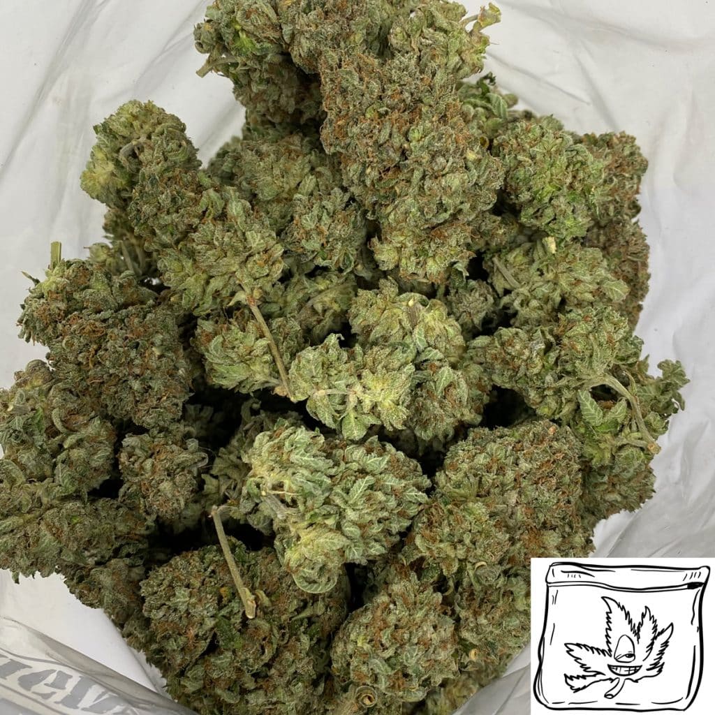 Greasy Rockstar - Online Dispensary Canada | Buyweedpacks