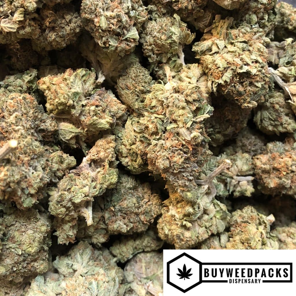 MK Ultra Strain - #1 Source for Bulk Weed Packs | Buyweedpacks
