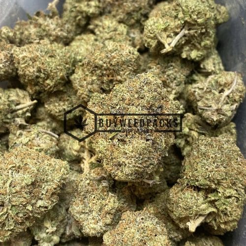 Purple Gas Mask - Online Dispensary Canada | Buyweedpacks