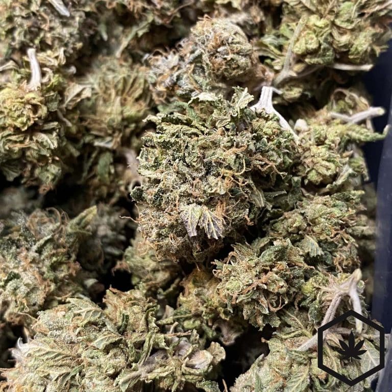 Budget Buds - Sweet Tooth - Cheap Weed - Buyweedpacks