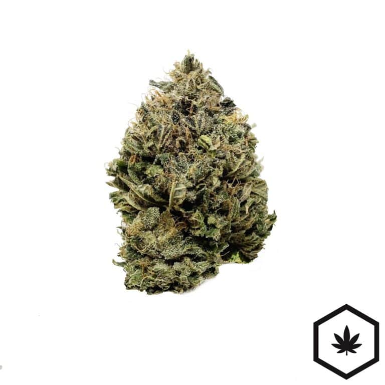Budget Buds - Sweet Tooth - Cheap Weed - Buyweedpacks