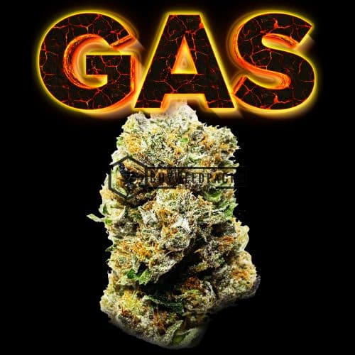 Astro Pink - Online Dispensary Canada | Buyweedpacks