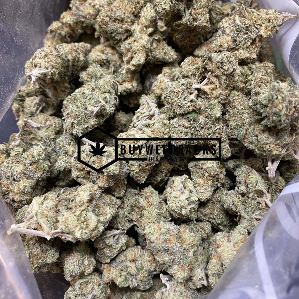 Jet Fuel Gelato - Online Dispensary Canada | Buyweedpacks