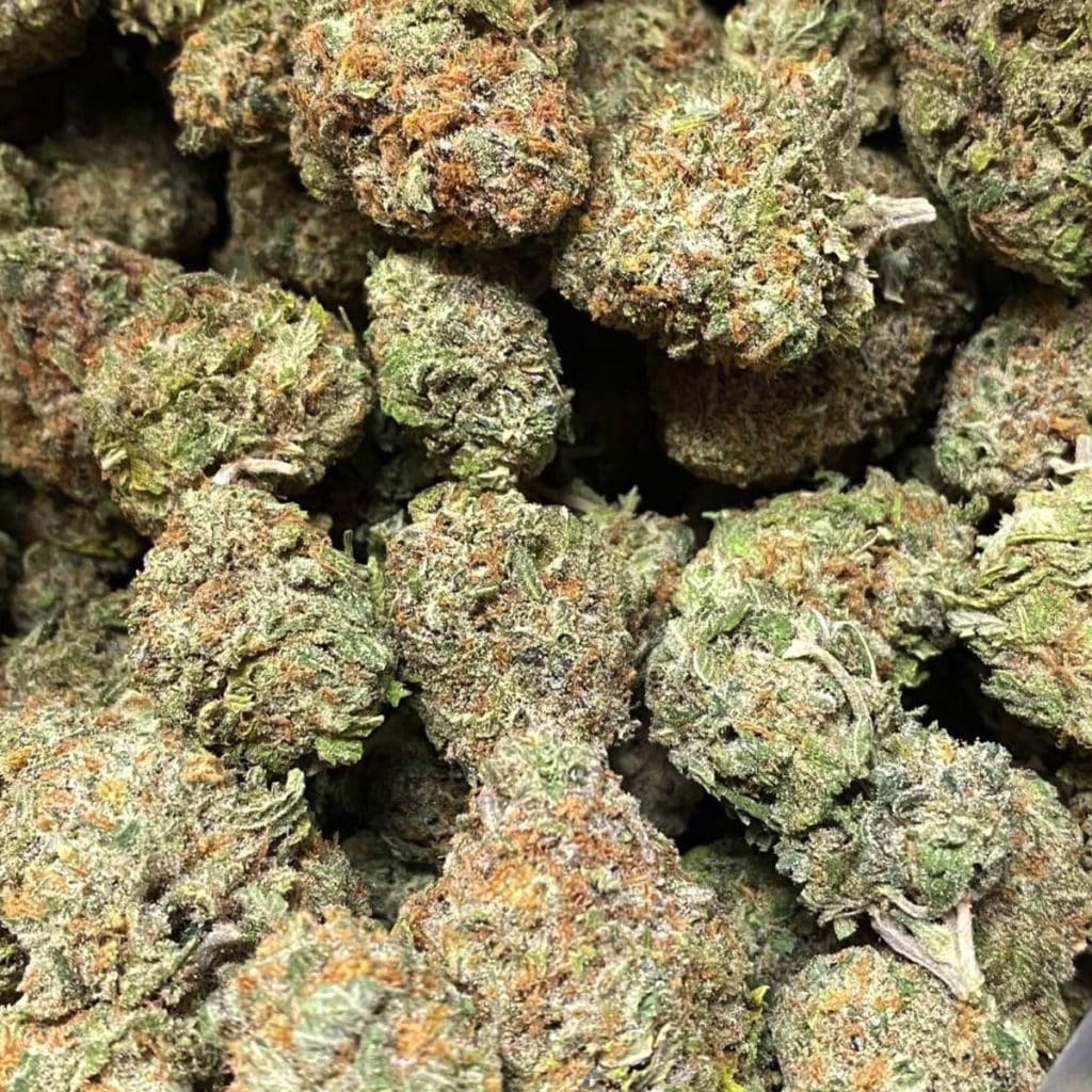 Alaskan Thunder Fuck | Buy Weed Online | Buyweedpacks