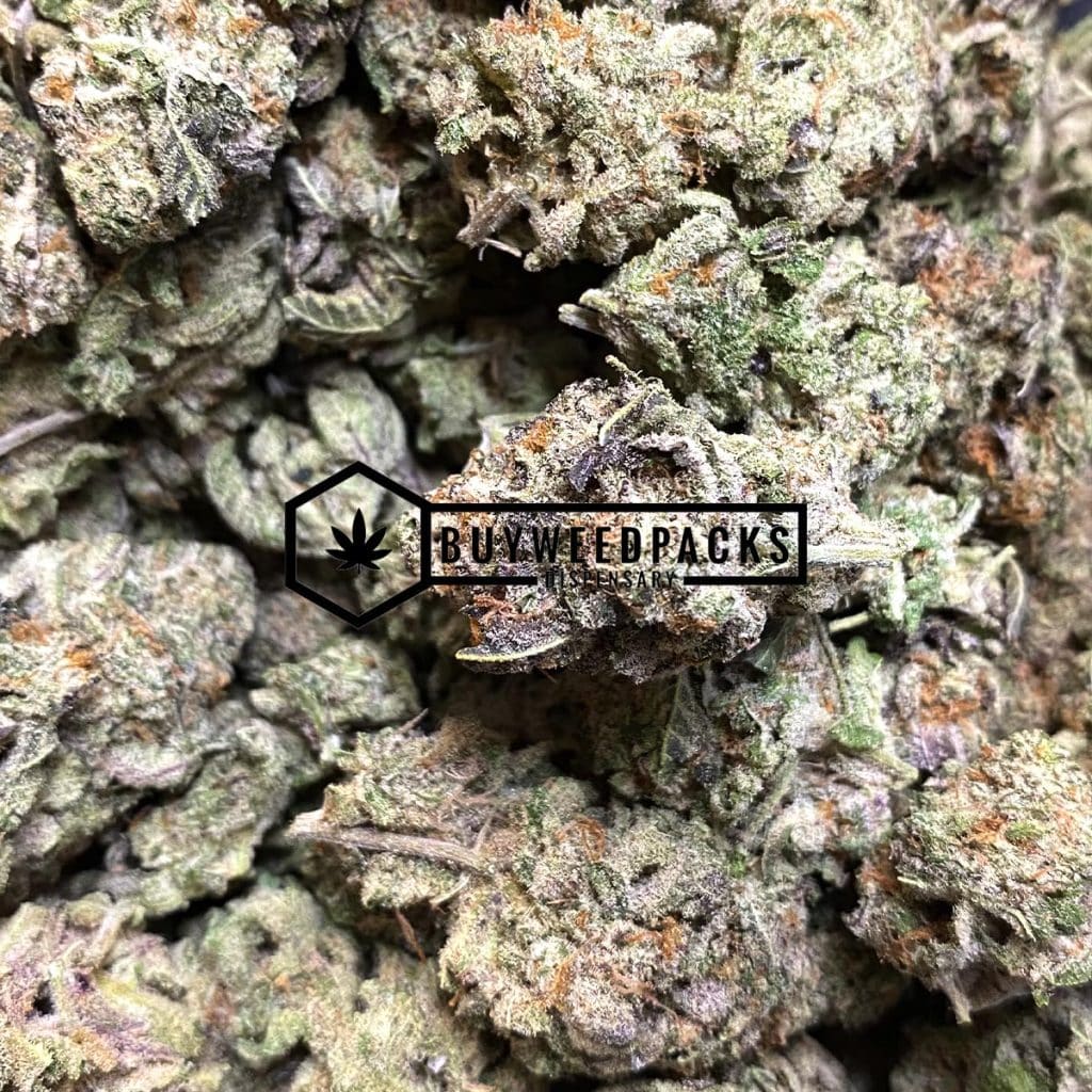 Purple MAC 10 - Online Dispensary Canada | Buyweedpacks
