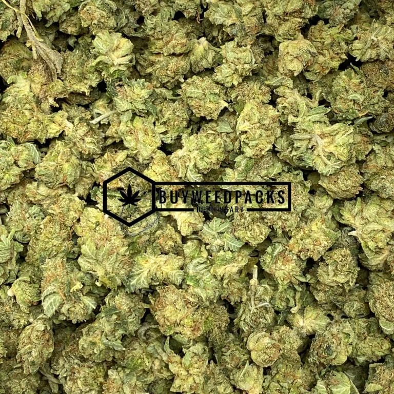 Blueberry Cookies Shake Weed - Weed Online | Buyweedpacks