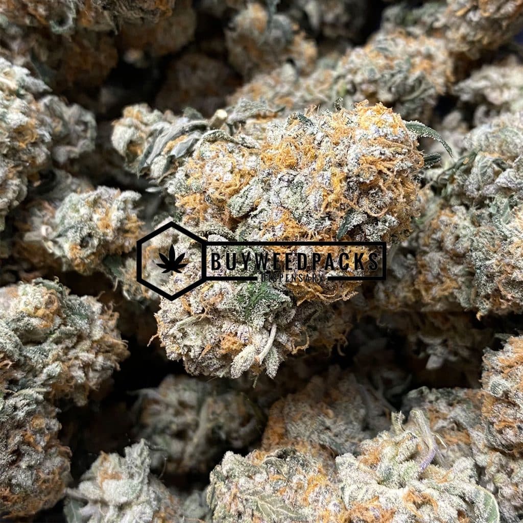Trump OG - Online Dispensary Canada | Buyweedpacks