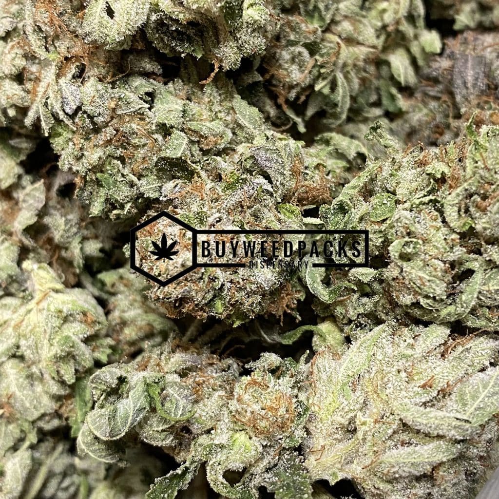 BC Kush - Online Dispensary Canada | Buyweedpacks