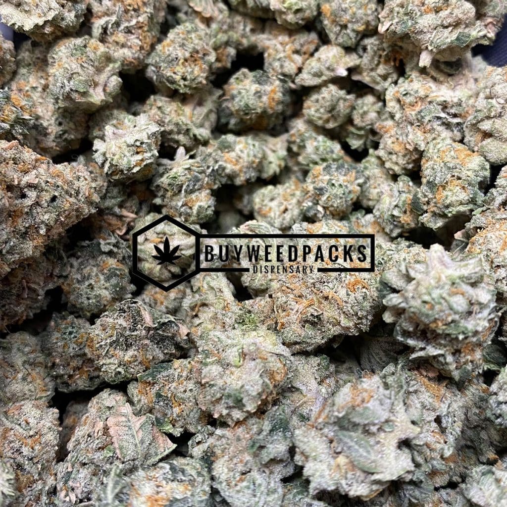 Sour Cheese - Online Dispensary Canada | Buyweedpacks