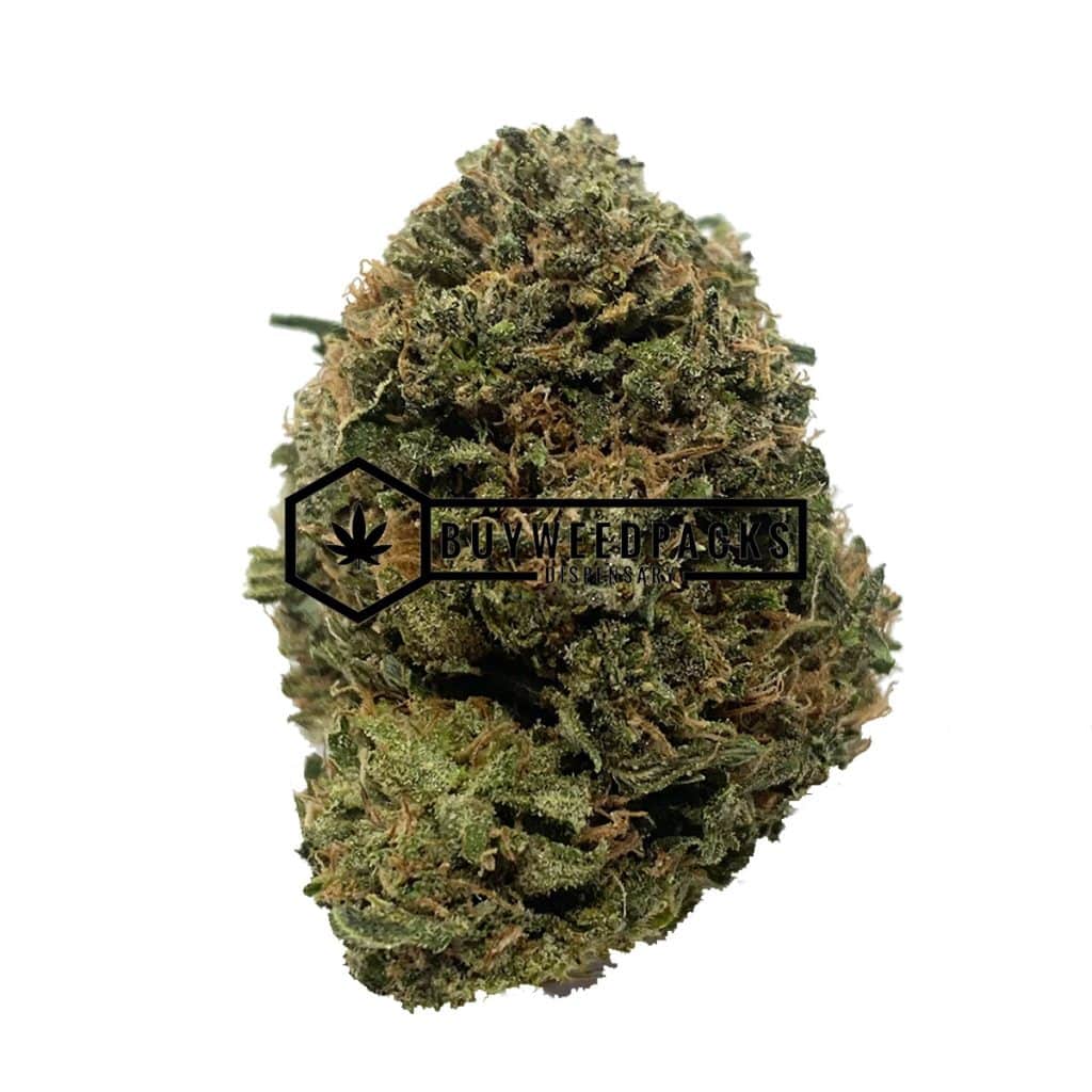 Pre-98 Bubba Kush - Online Dispensary Canada | Buyweedpacks