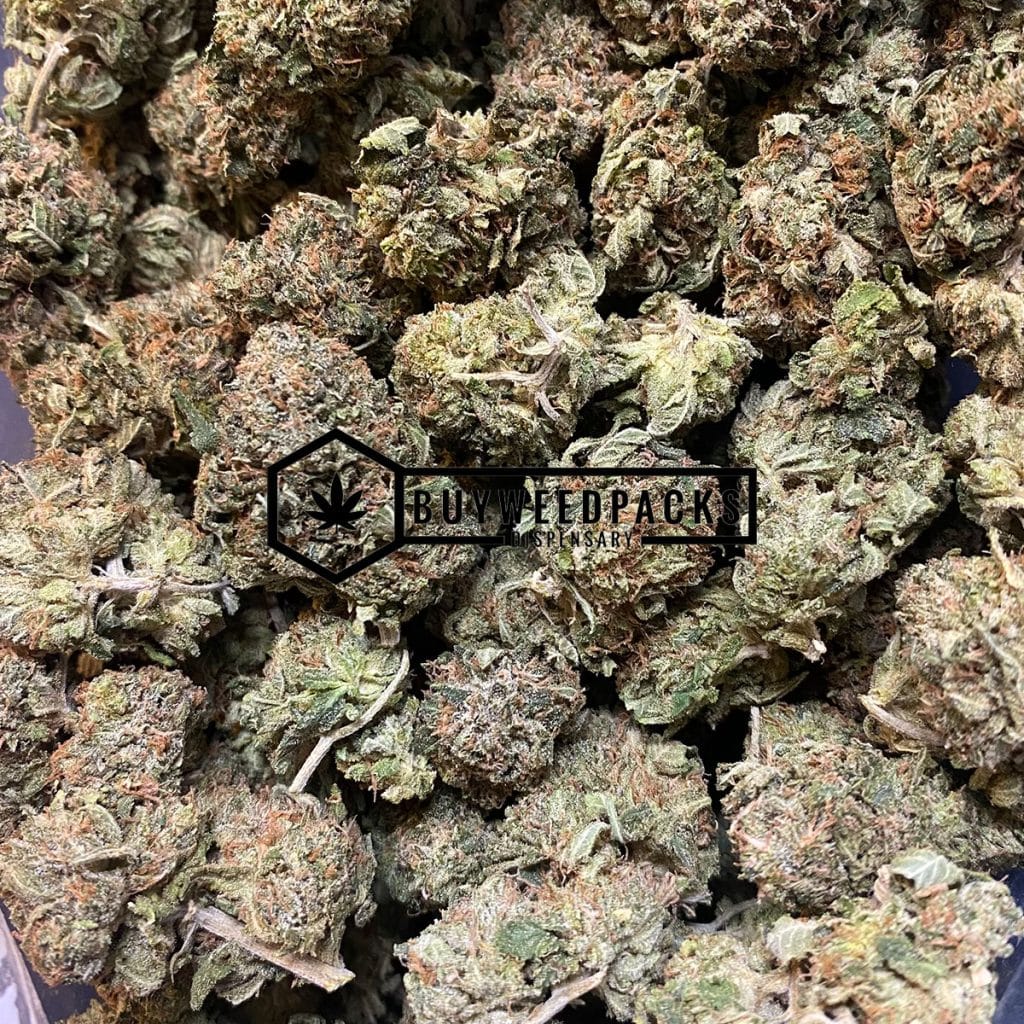 Pre-98 Bubba Kush - Online Dispensary Canada | Buyweedpacks