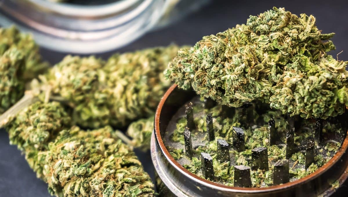 You’ll Love The Balanced, Well-Rounded High of the Space Cookies Strain