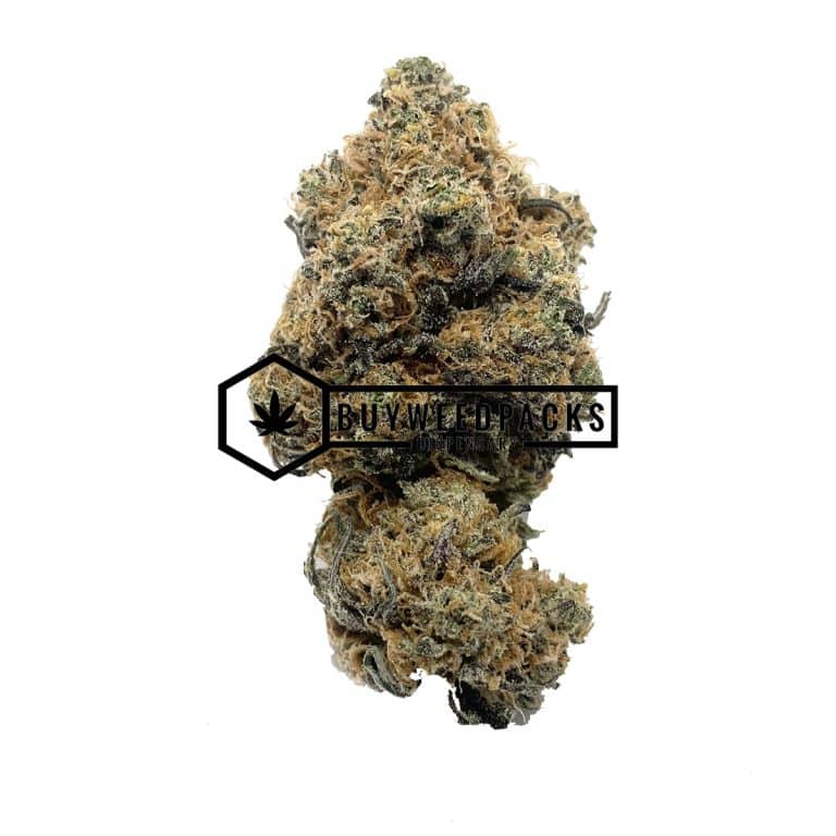 Jungle Cake - Online Dispensary Canada | Buyweedpacks