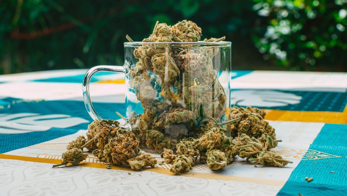 What’s The Best Craft Weed In Canada? Here’s Your Handbook to Exotic ...