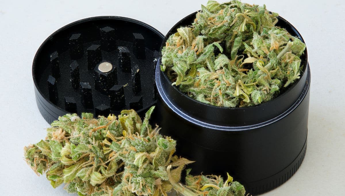 Alaskan Thunder Fuck: The High That Hits Like a Snowstorm